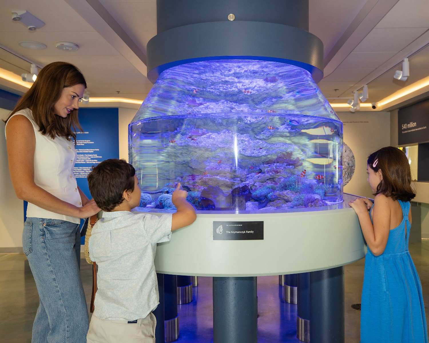 Discover the Wonders of the Sea at Bailey-Matthews Shell Museum! | Blog